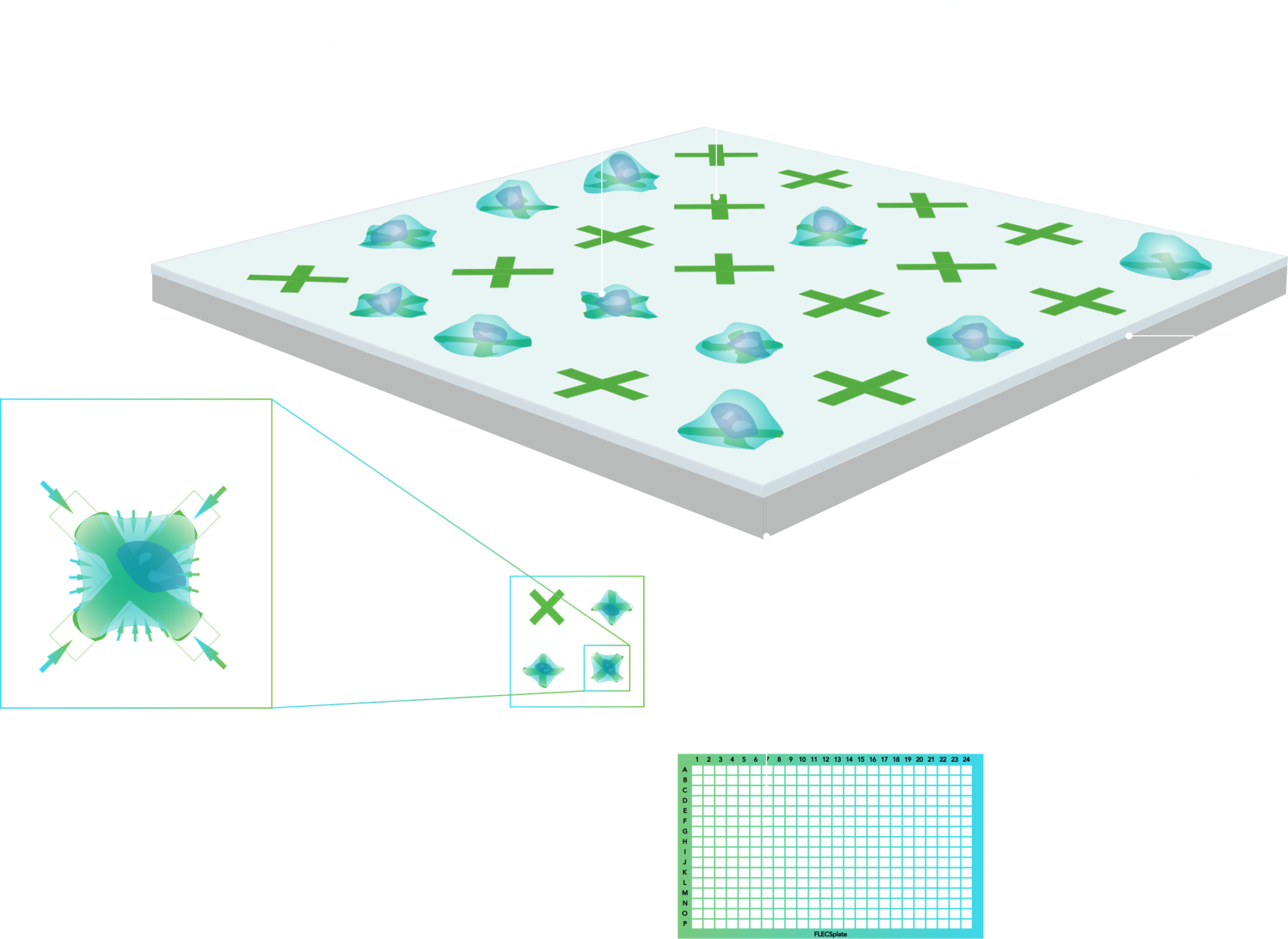 FLECS Platform - Forcyte Biotechnologies, Inc